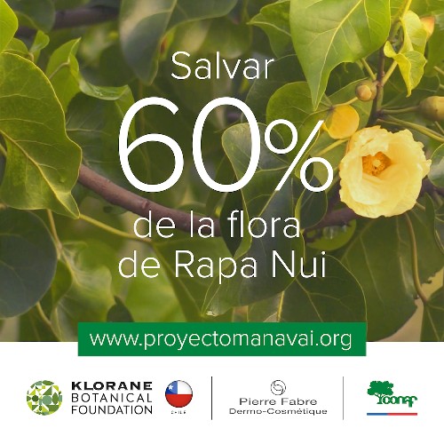 Klorane junto a CONAF dan inicio al proyecto MANAVAI para la ...