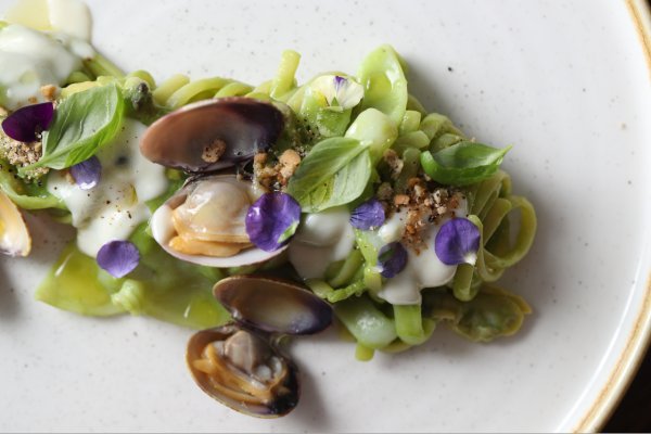 Doma: Un rincón italiano en Miami para disfrutar de una experiencia ...